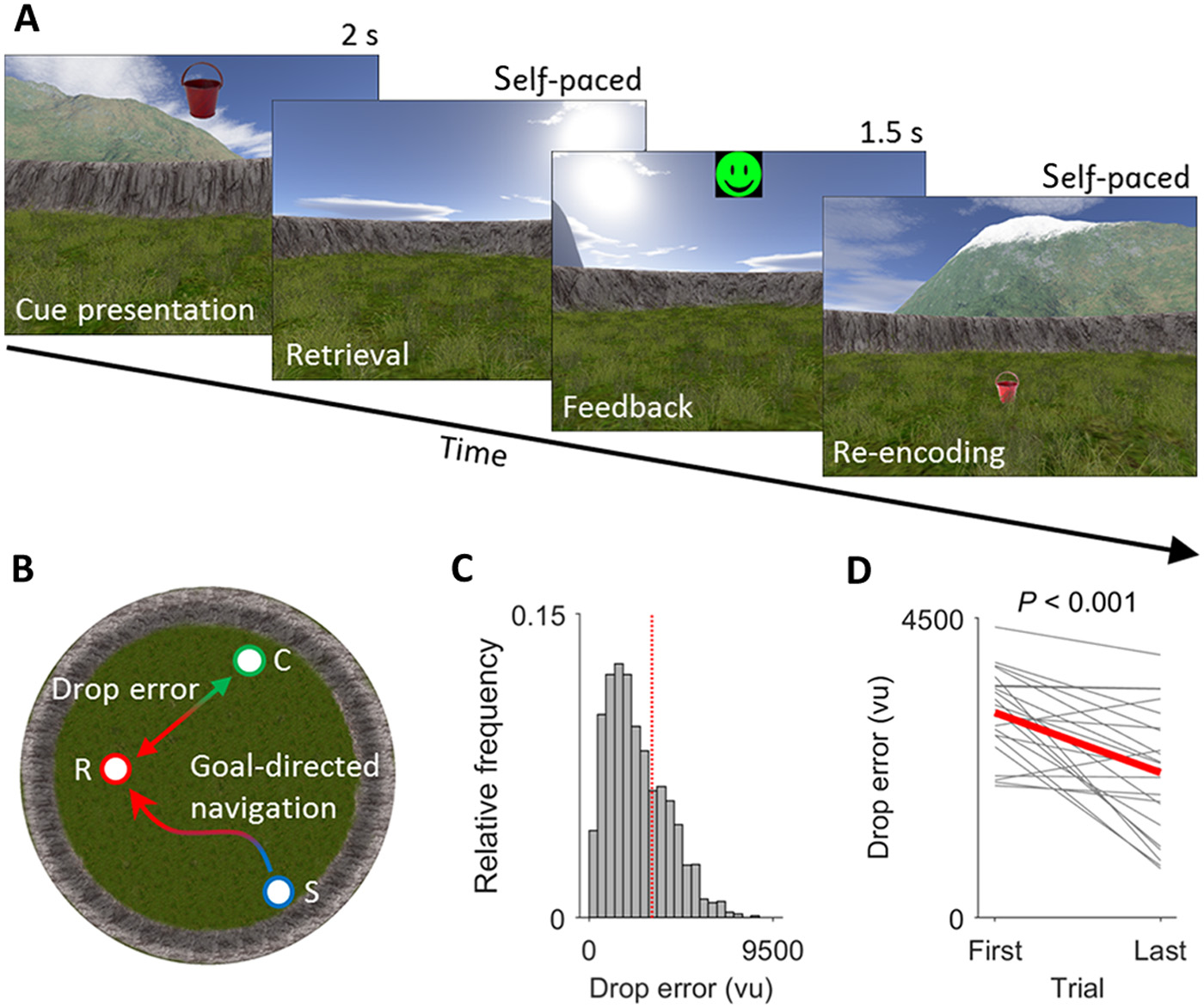 Hippocampal theta phases organize the reactivation of large-scale electrophysiological ...